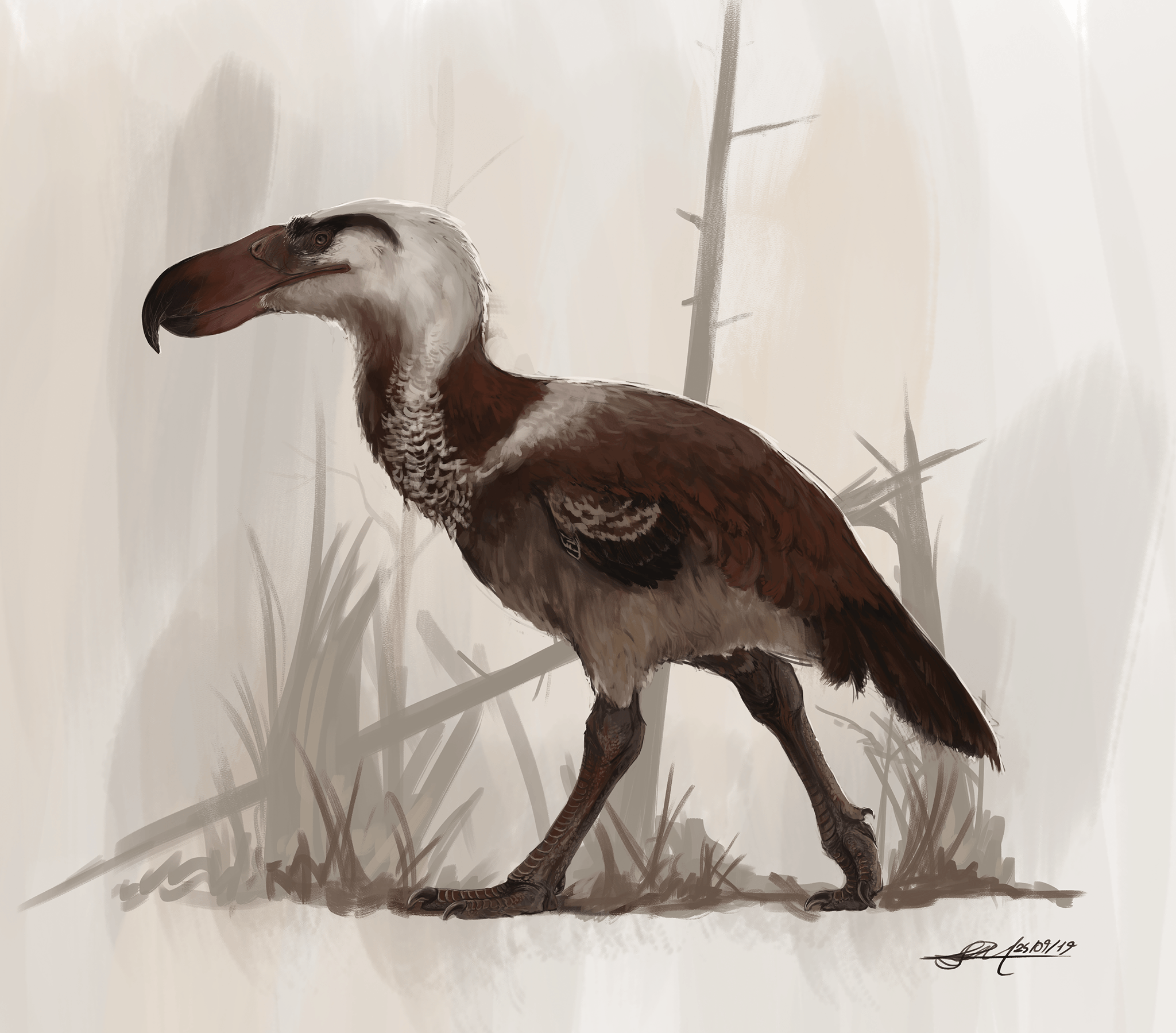 Terror Birds: Flightlessness Made Terrifying - Darwin's Door