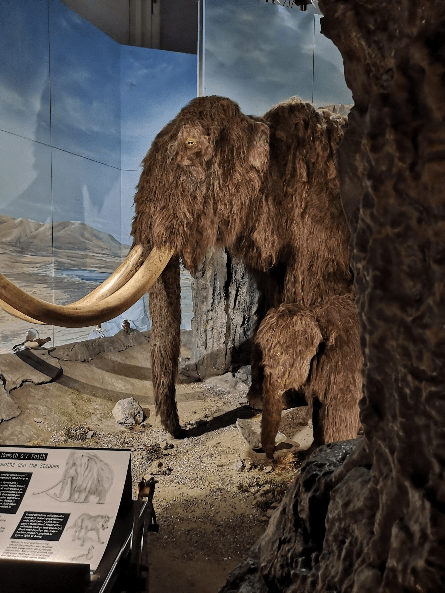 National Museum Cardiff: A Review - Darwin's Door