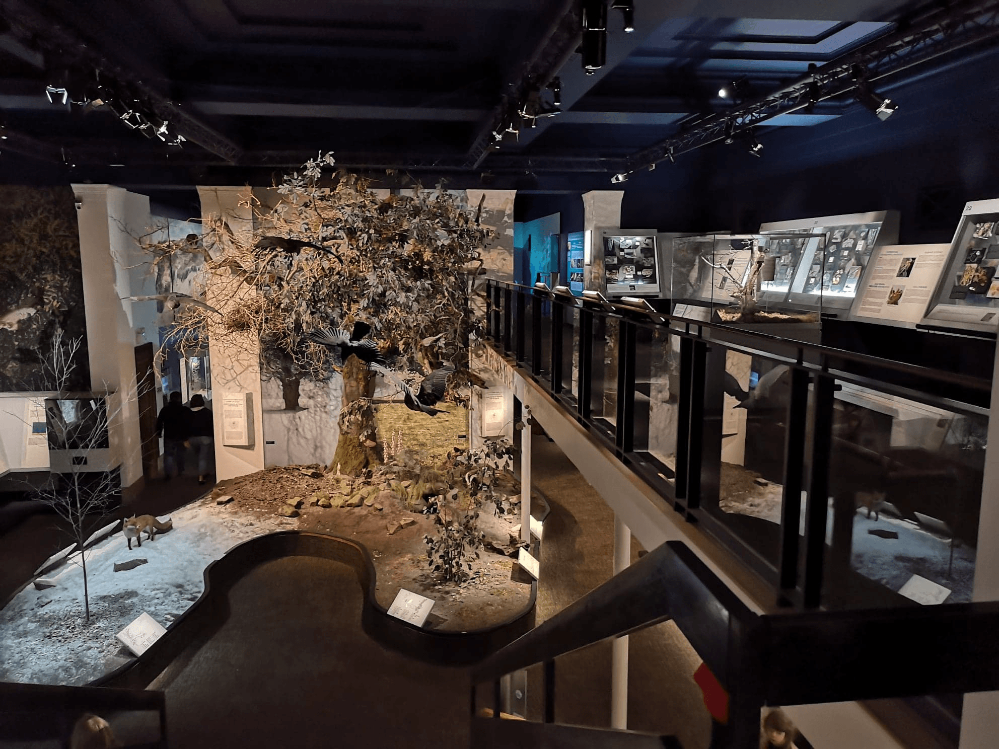National Museum Cardiff: A Review - Darwin's Door