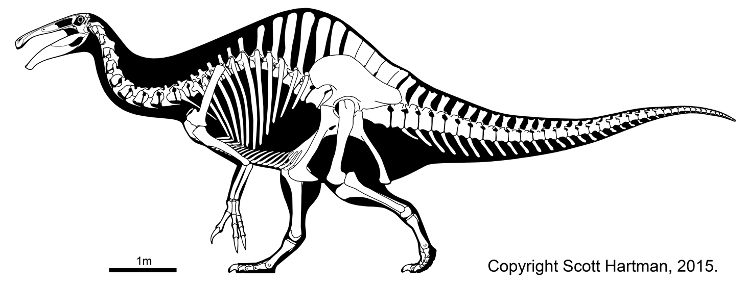 Deinocheirus mirificus: A Fossil Goose Chase - Darwin's Door