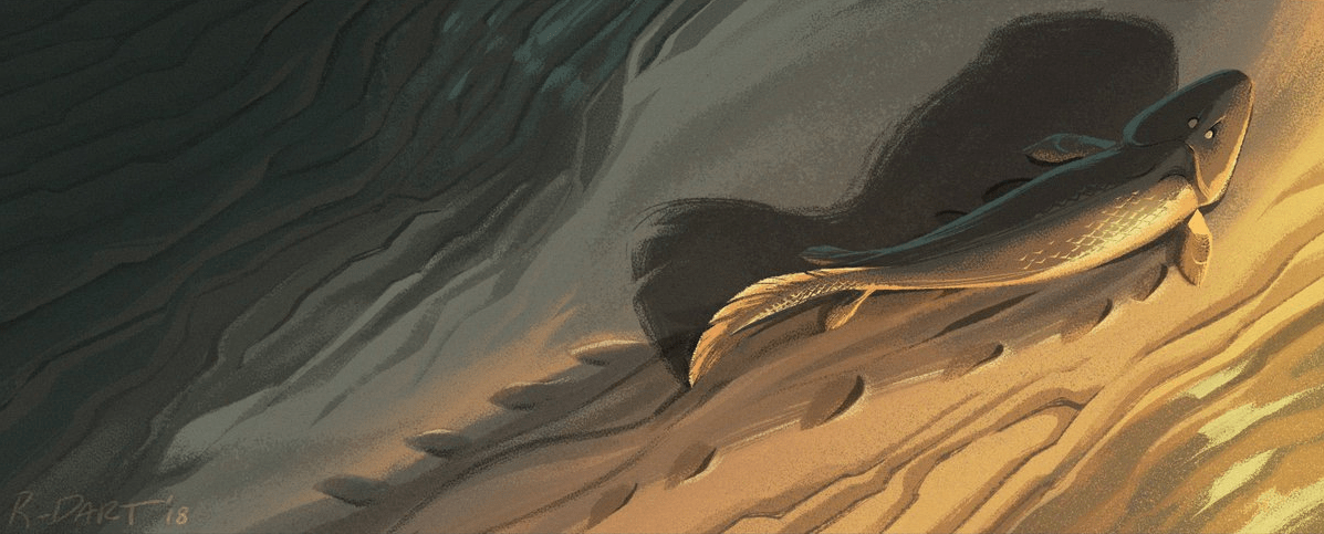 The Devonian Period - Darwin's Door
