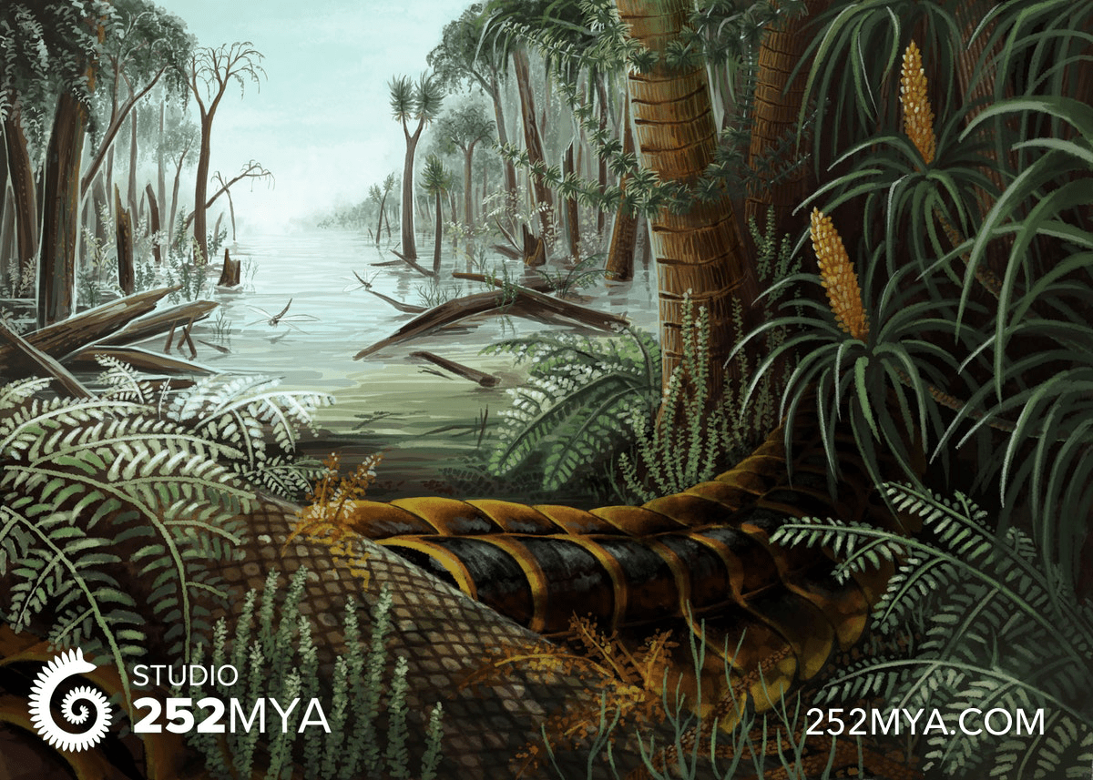 Animals And Plants During The Carboniferous Period at Enrique Ivy blog
