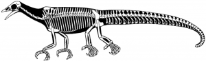 The Triassic Period - Darwin's Door