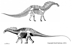 Amargasaurus cazaui: The Spiny Sauropod - Darwin's Door