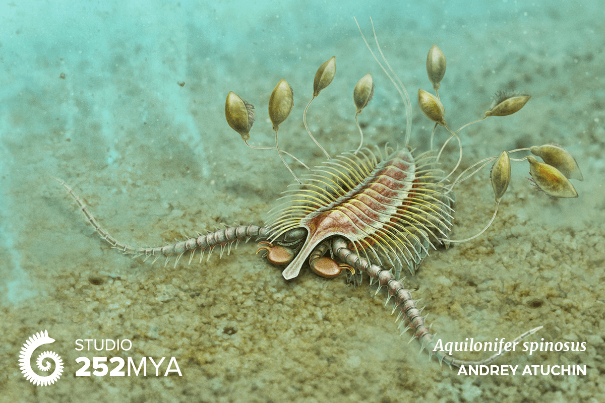 Unleashing Secrets of the Palaeozoic: Lagerstätten and Exceptional ...