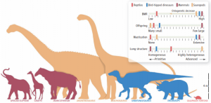 The Cretaceous Period - Darwin's Door
