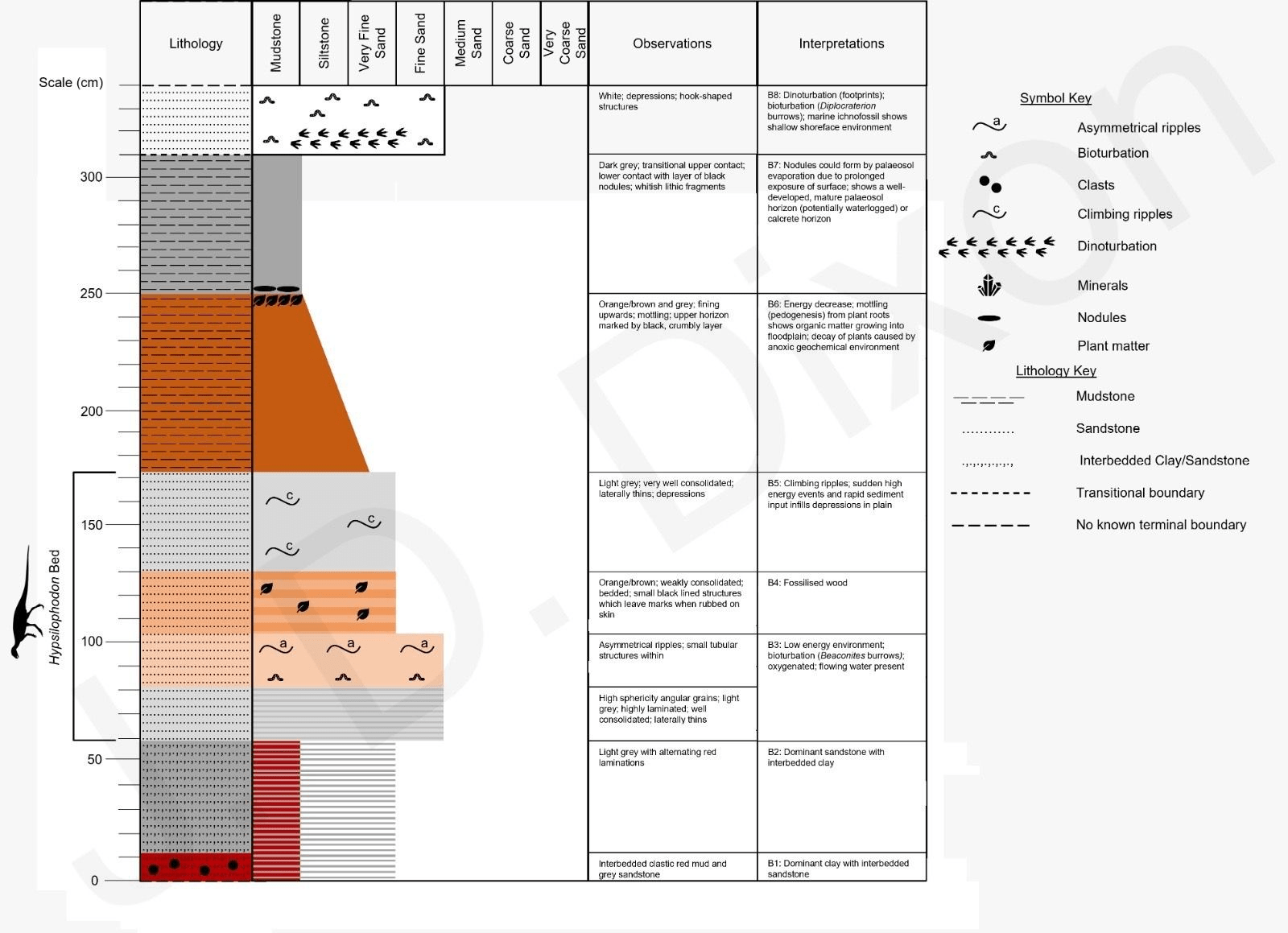 Sleeping Dinosaurs: The Hypsilophodon Bed of the Isle of Wight - Darwin ...